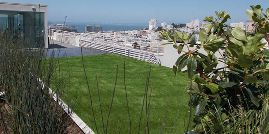Pacific Heights Rooftop | ForeverLawn Landscape