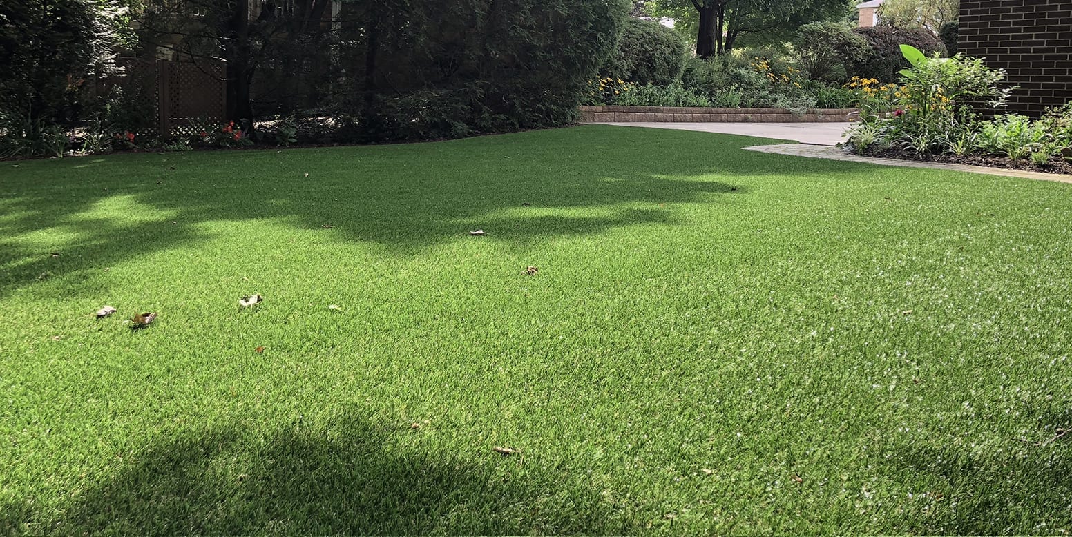Youngstown Residential Backyard | ForeverLawn Landscape