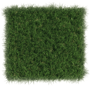 Synthetic Lawn Turf - Select: Landscapes by Foreverlawn